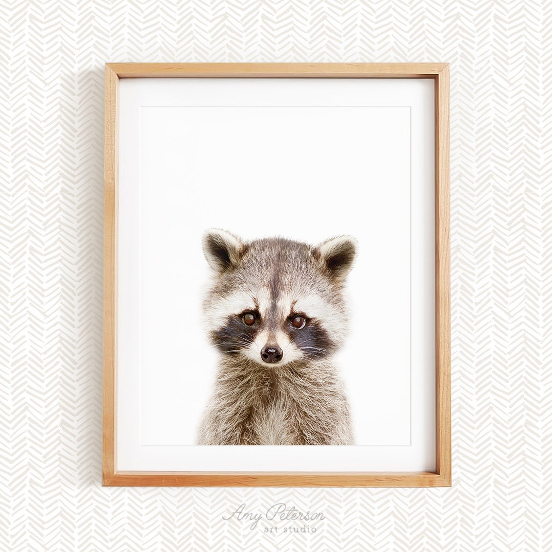 Baby Raccoon, Nursery Art, Baby Animal Nursery Decor, Unframed Print ...