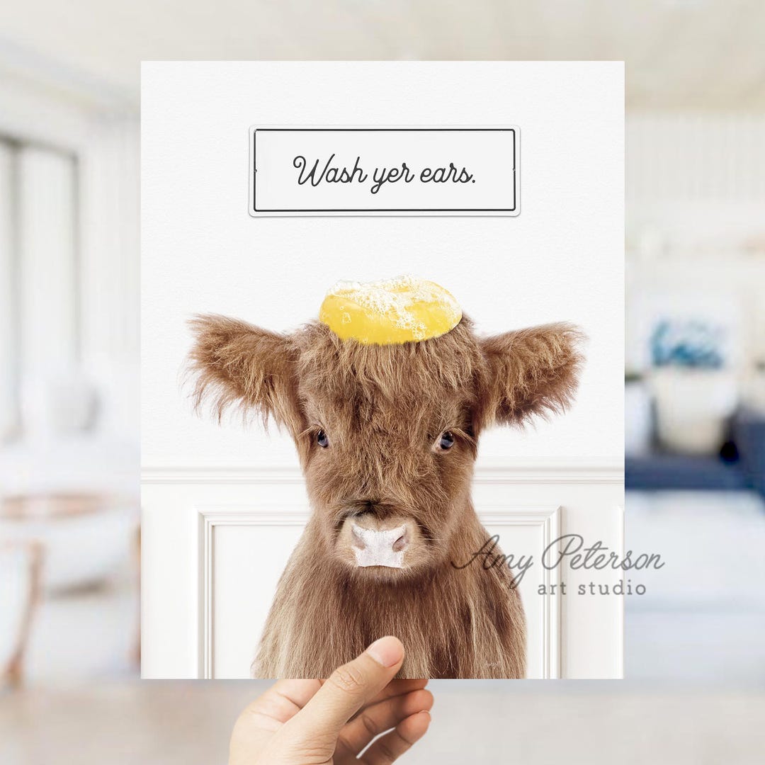 Baby Highland Cow "wash Yer Ears" in Simple White Wall Style, Bathroom ...