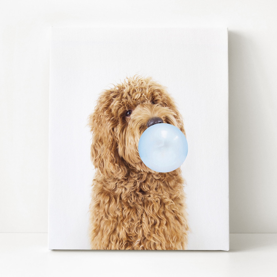 Goldendoodle Golden Labradoodle Dog Blowing Bubble Gum, Dog Art, Dog ...