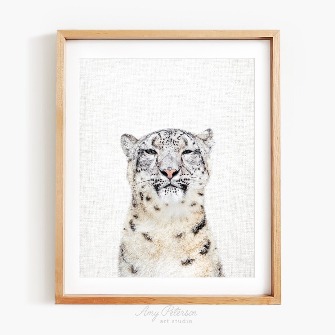 Snow Leopard Photo Print, Leopard Animal Wall Art, Snow Leopard ...