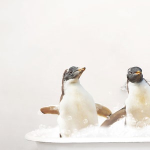 Penguins in a Vintage Bathtub, Rustic Bath Style, Penguin in Tub ...