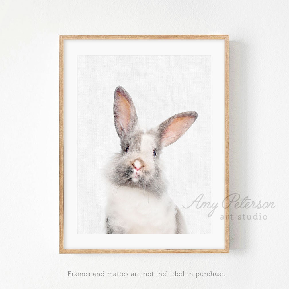 Gray Bunny Print as Seen in Homegoods Baby Animal Print for | Etsy