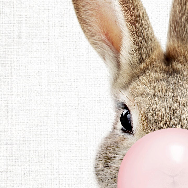 Baby Bunny Blowing Bubble Gum Bubble Farm Animal Woodland - Etsy