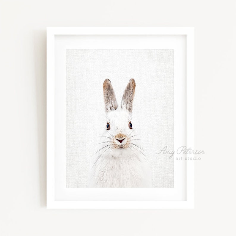 Snowshoe Hare Print Bunny Print for Nursery Bunny Portrait - Etsy