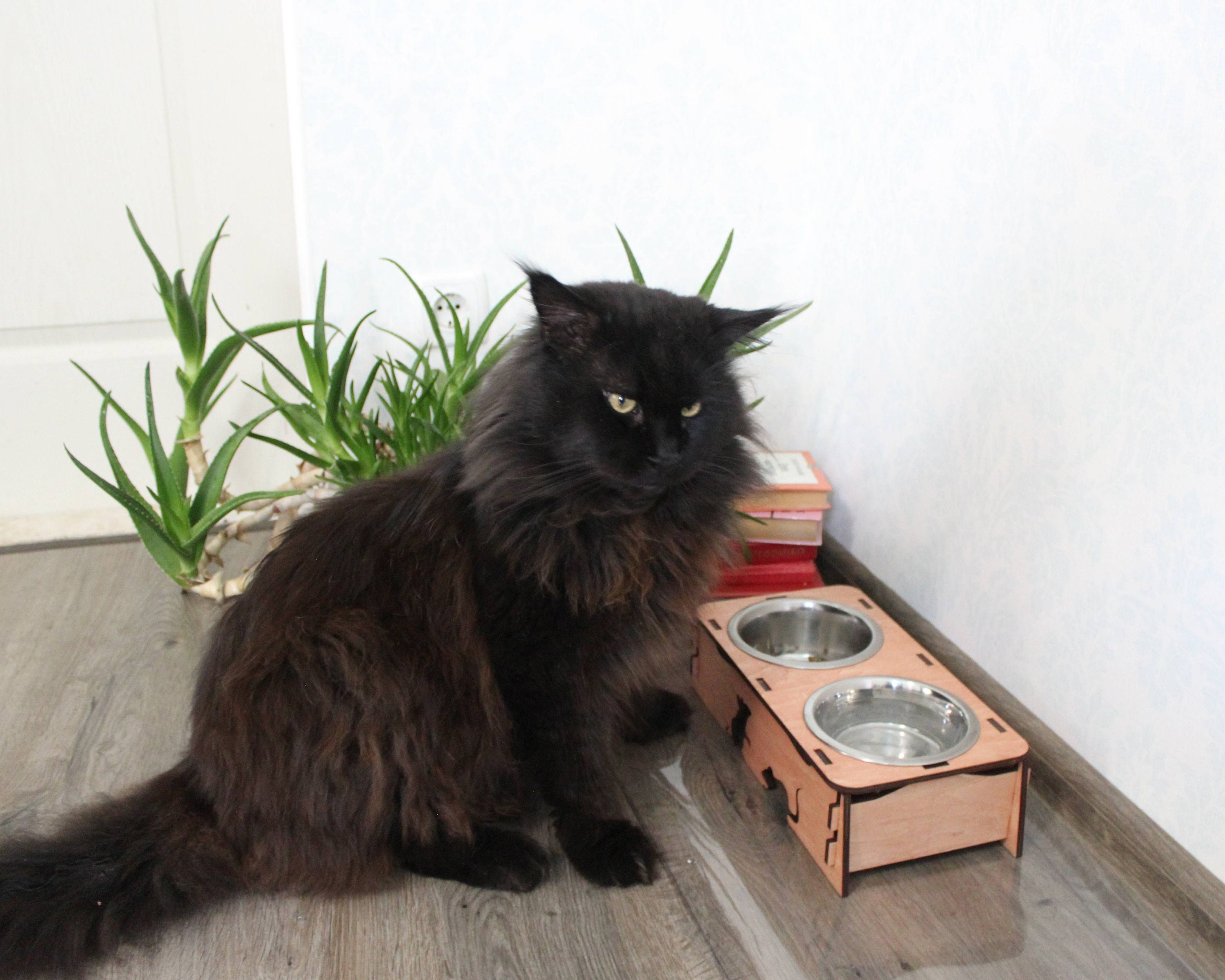 Cat Bowl Stand Cat Feeding Stand Raised Cat Bowl Elevated - Etsy