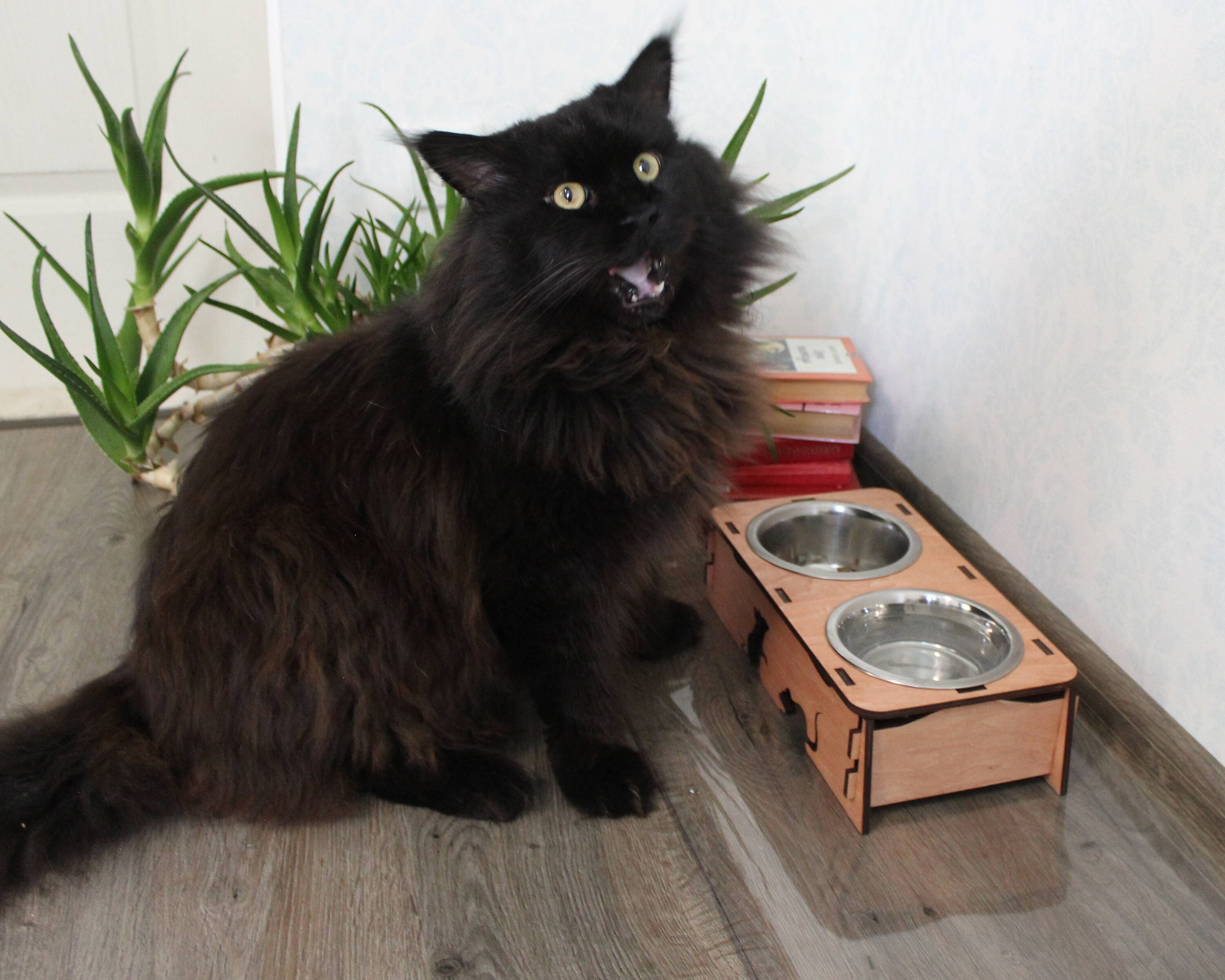 Cat Bowl Stand Cat Feeding Stand Raised Cat Bowl Elevated - Etsy