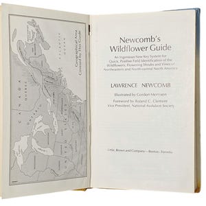 Newcomb's Wildflower Guide by Lawrence Newcomb - 1977 Wildflowers Identification Field Guide ...