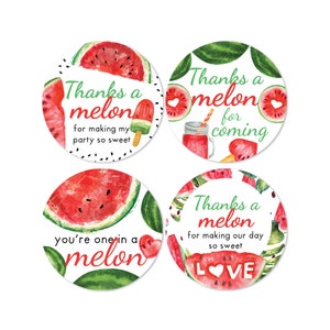 Watermelon Thank You Stickers - Set of 80 Party Favor Stickers, Self ...