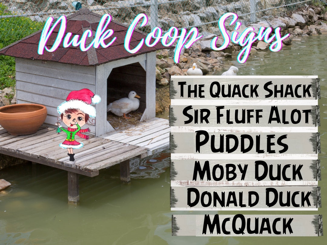 Custom Duck Coop Sign|personalized Duck Decor|custom Duck Sign|chicken ...