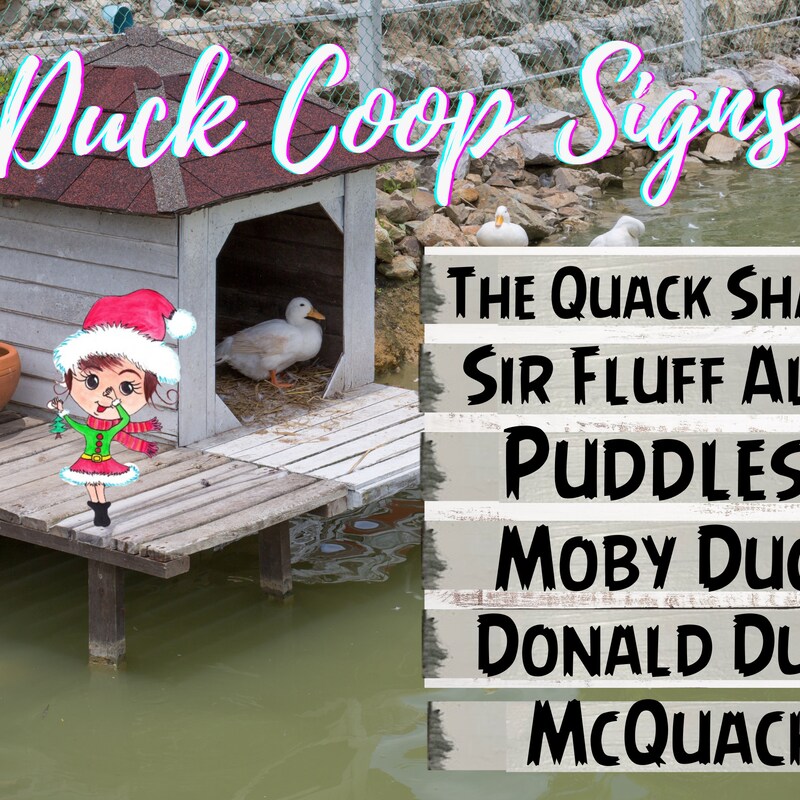 Duck Signs - Etsy