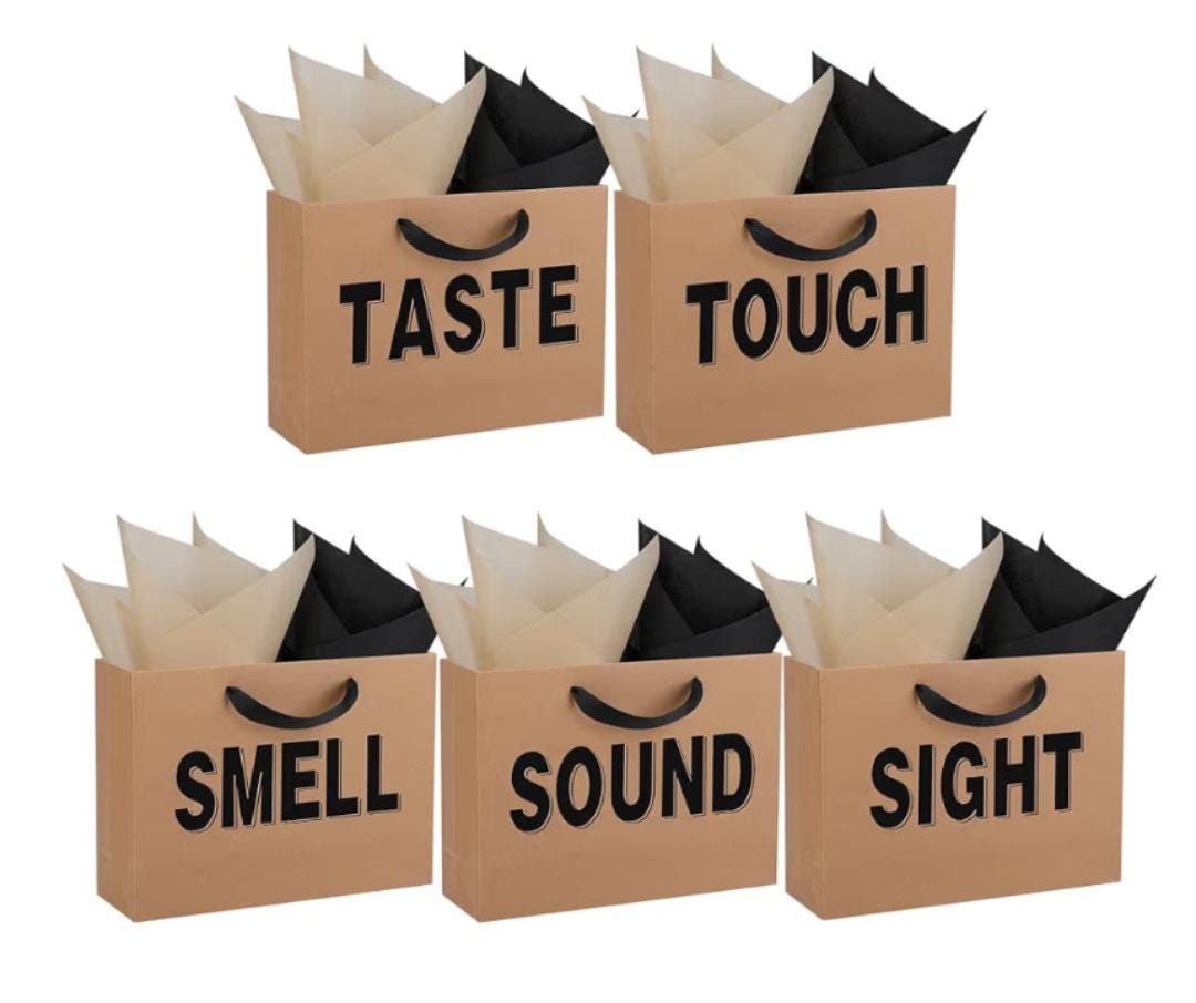 2 Sets of 5 Senses Gift Bags Wi/handles and Tissue Paper for Valentine ...