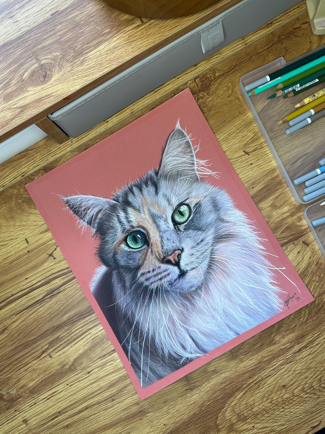 Original Pastel Maine Coon Drawing Framed 11 X 14 Inches - Etsy