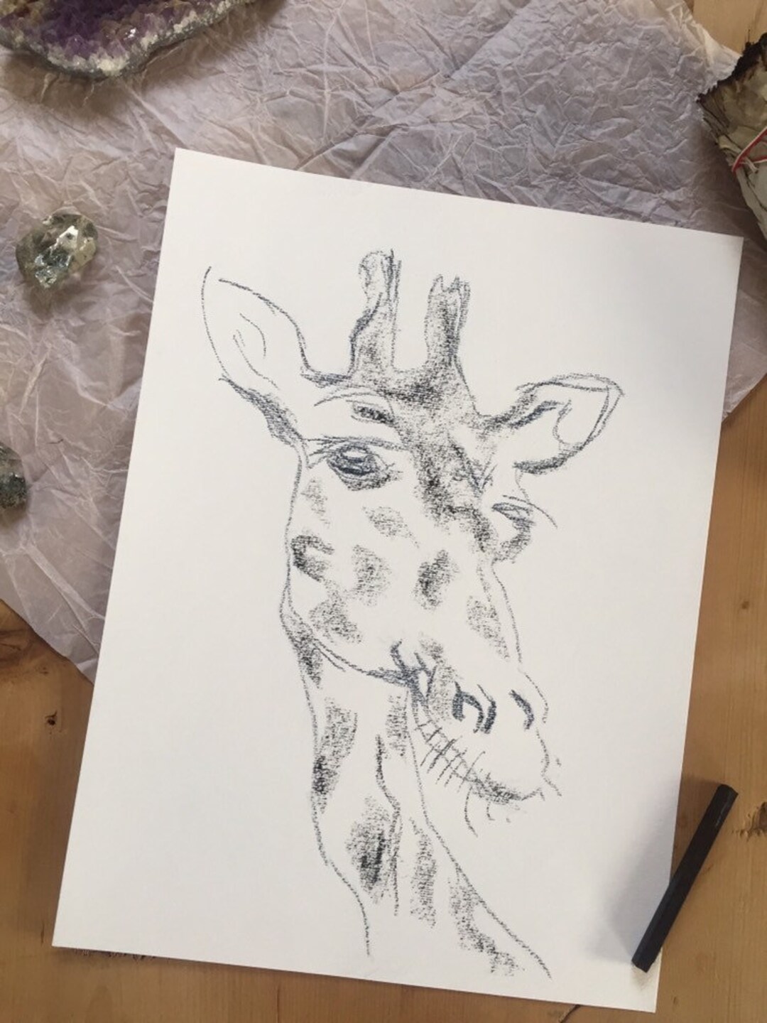 Giraffe Charcoal Drawing Power Animal Giraffe Giraffe Head Graphite - Etsy
