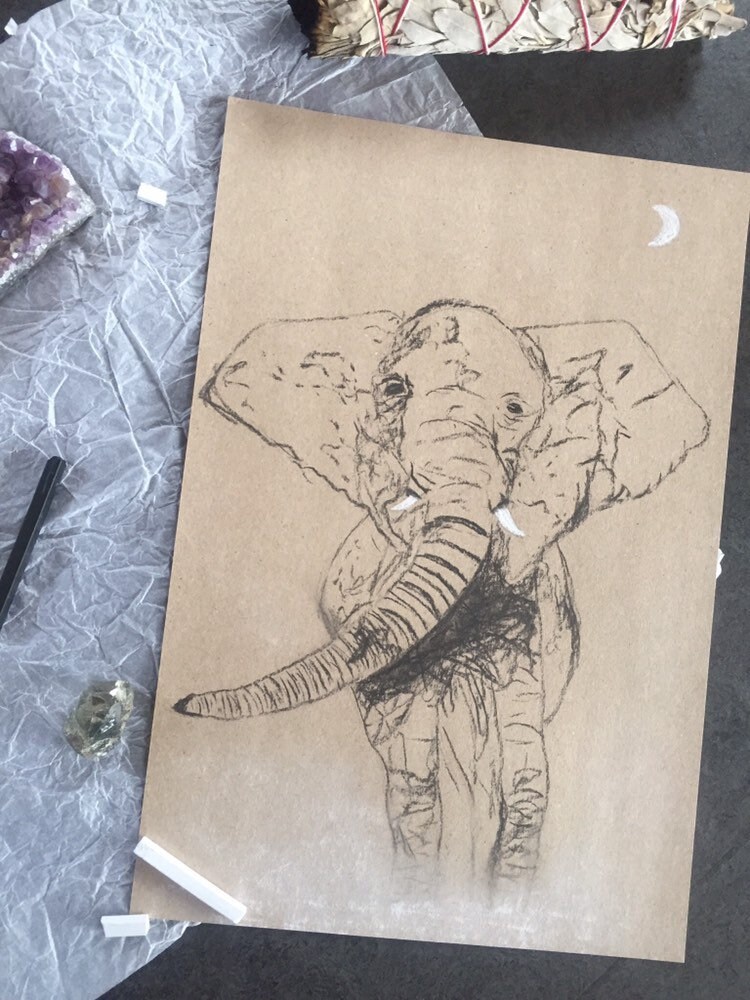 Elephant Power Animal | Elephant With Moon | Charcoal Drawing Elephant ...