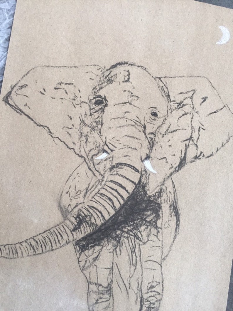 Elephant Power Animal | Elephant With Moon | Charcoal Drawing Elephant ...