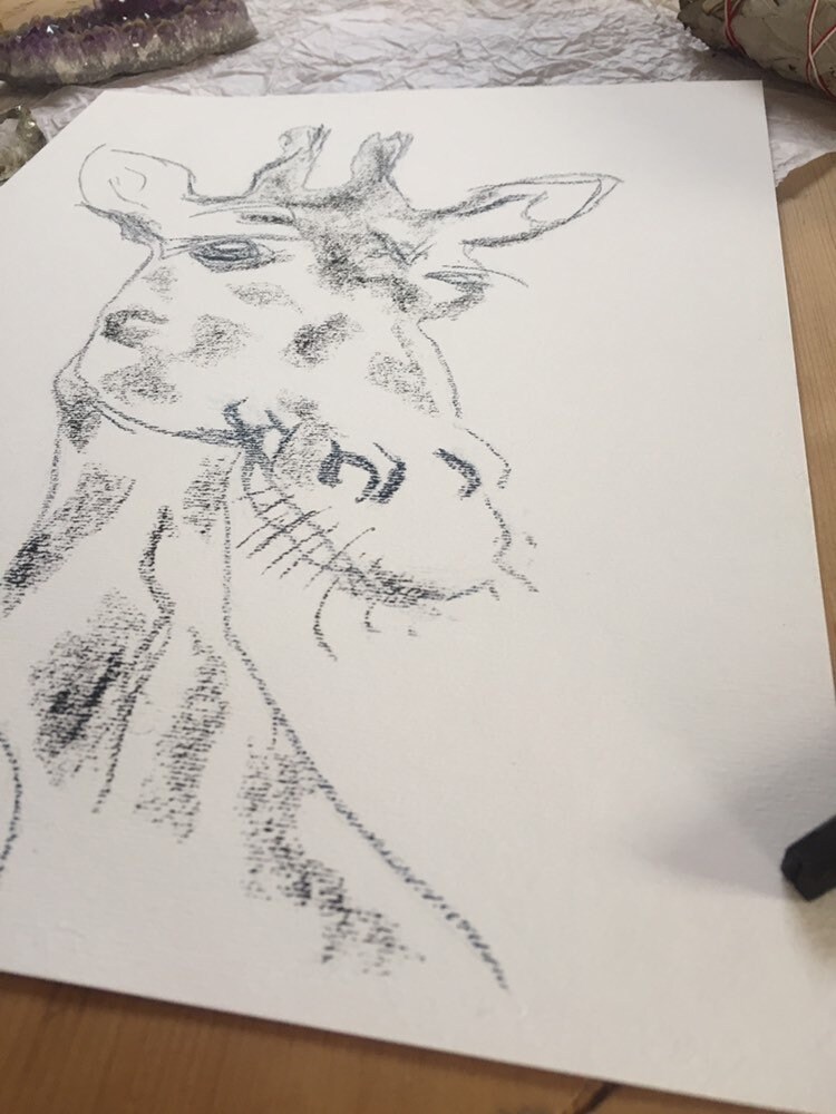 Giraffe Charcoal Drawing Power Animal Giraffe Giraffe Head Graphite - Etsy