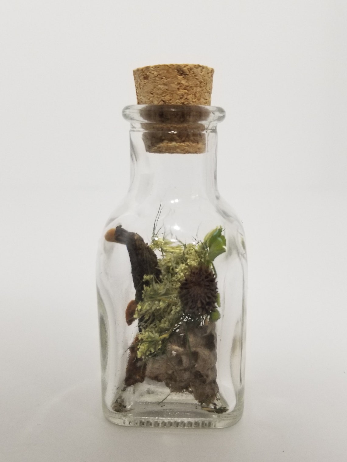 Tiny Jars Oddity Decor Bones in Jar Terrarium Curio | Etsy