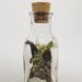 Tiny Jars Oddity Decor Bones in Jar Terrarium Curio - Etsy