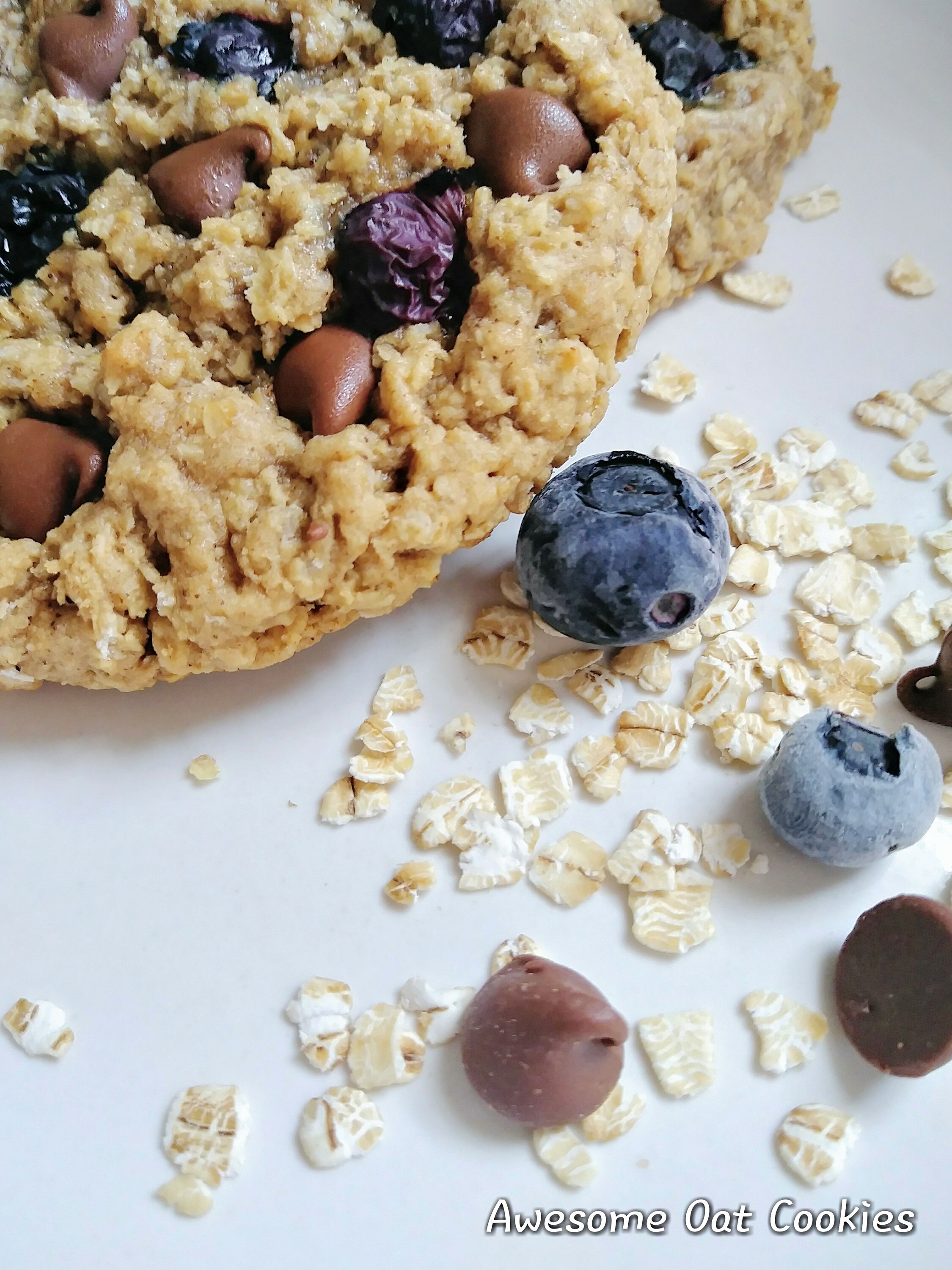 Send a Gift Box, 6 Count Blueberry Chocolate Chip Oatmeal Large Size ...