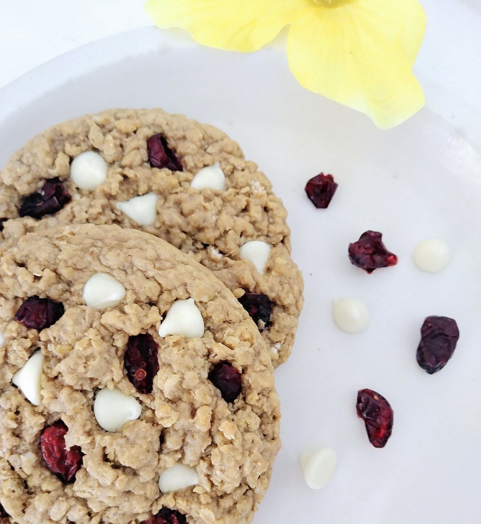 Gift Box, 12 LG Size Cranberry White Chocolate Chip Oatmeal, Awesome ...