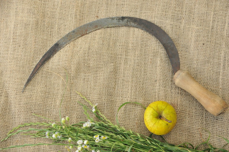 Antica falce Lama ruggine patina Falce primitiva Falce - Etsy Italia