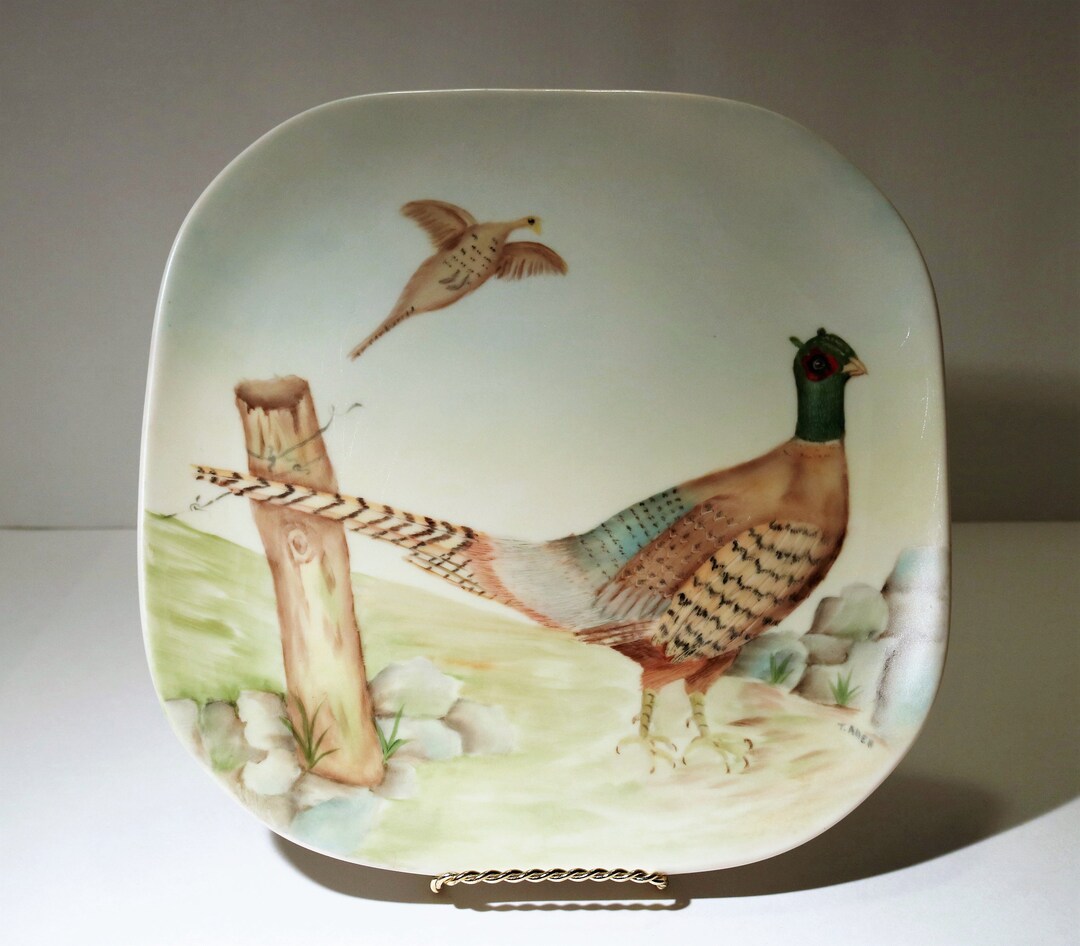 Vintage Hand-painted 10" Square Pheasant Plate -signed T. Allen - Etsy