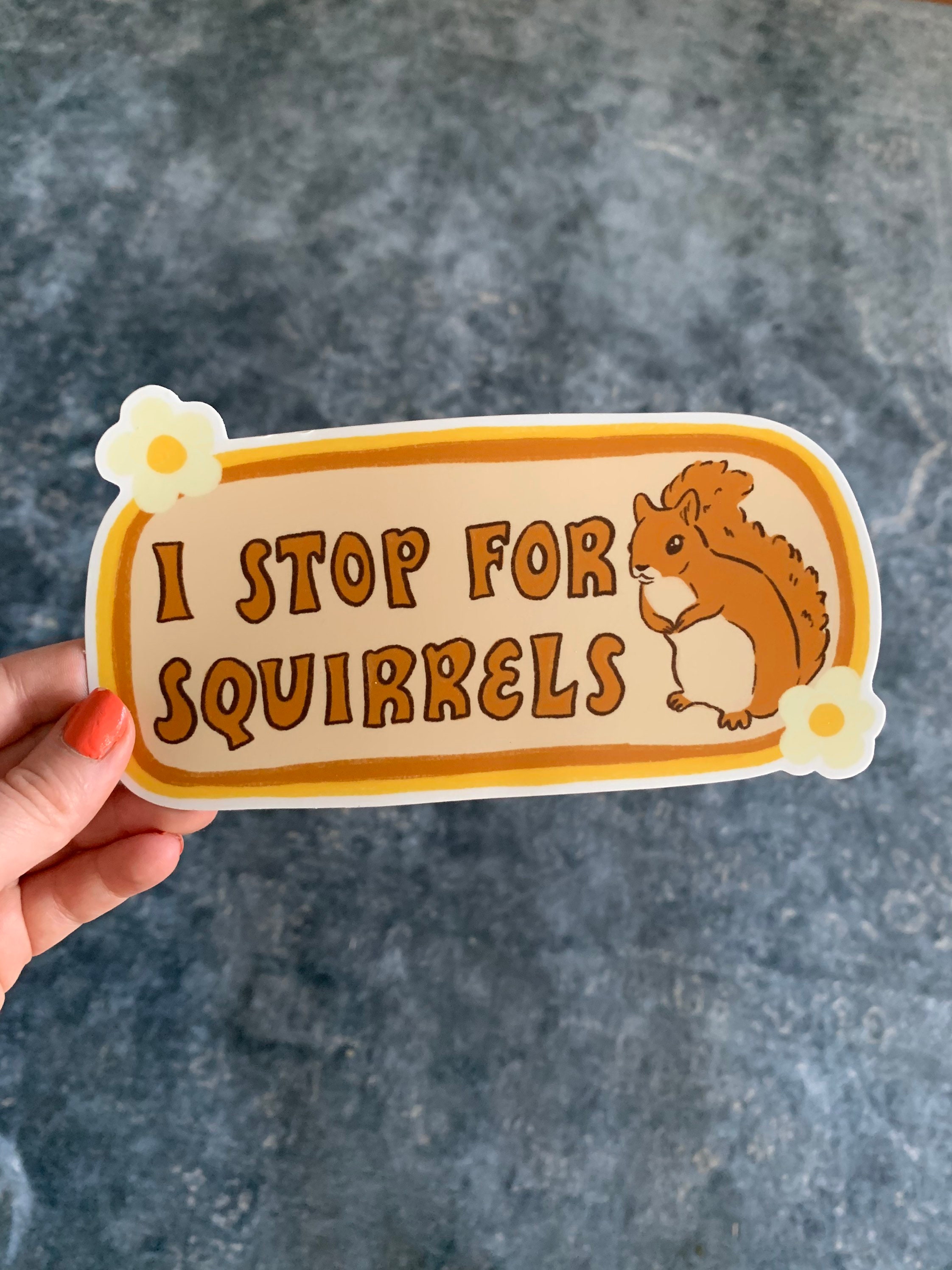 I Stop for Squirrels Bumper Sticker Squirrel Sticker - Etsy