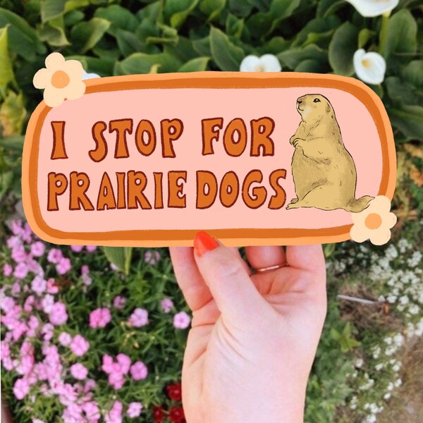 Prairie Dogs - Etsy