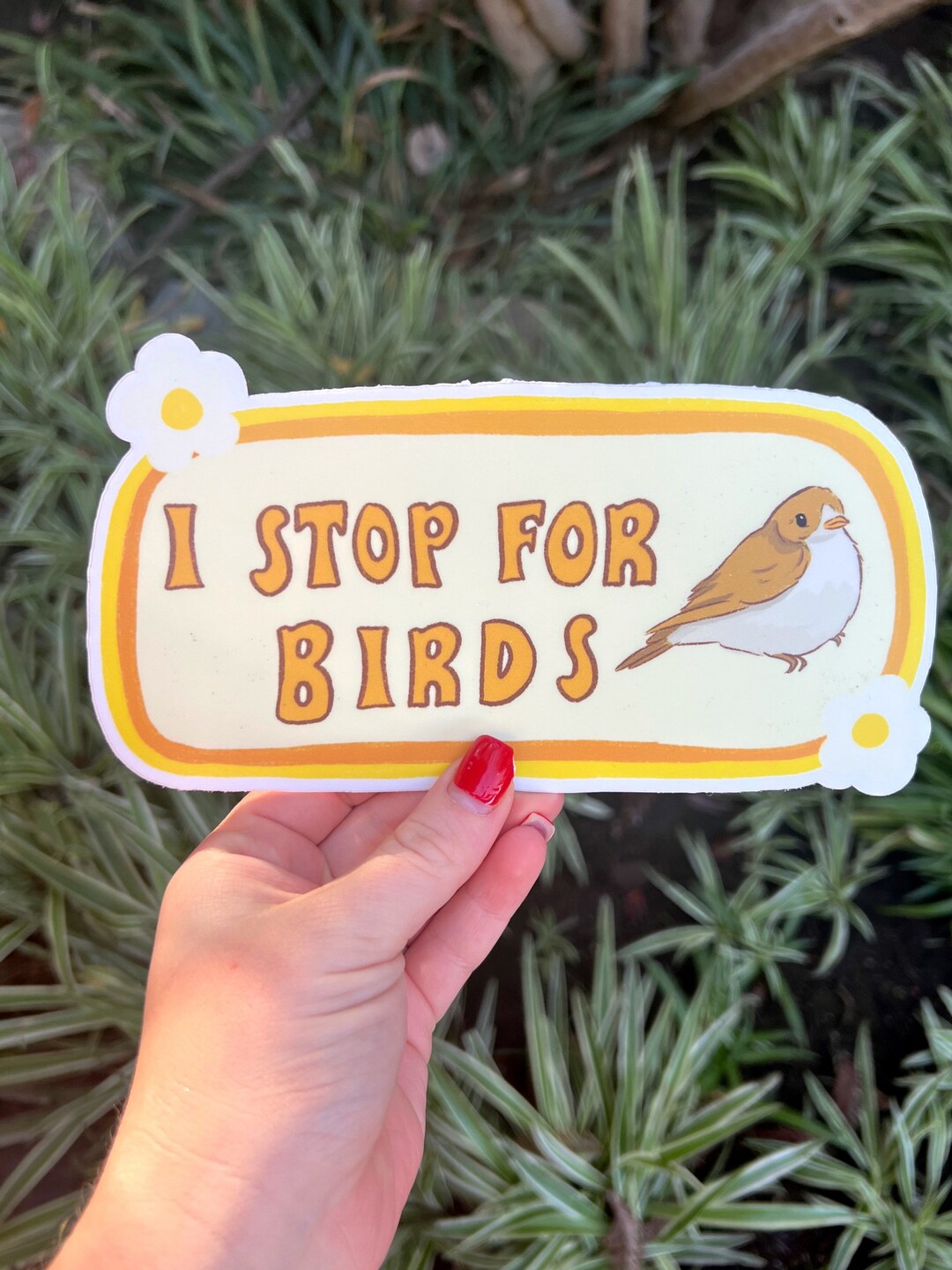 I Stop for Birds Bumper Sticker Bird Sticker Stickers for Car Bumper ...