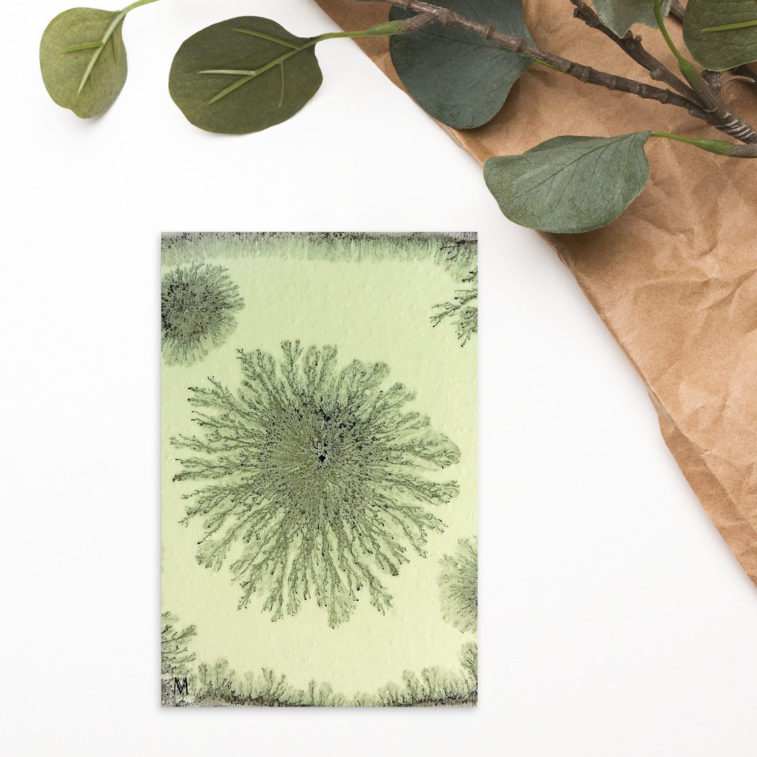 Postcard Macro Background Painting Postcards Art Postcard Abstract ...