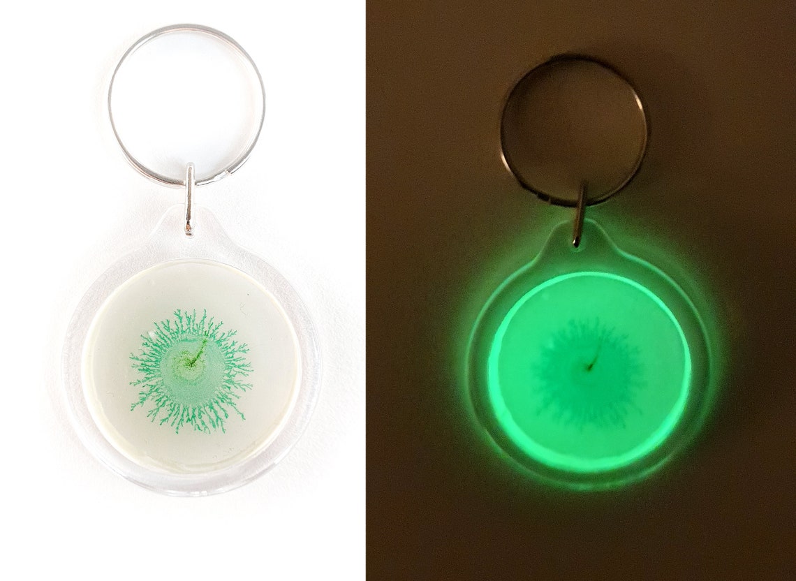 Uv Keychain Green Keychain Glowing Keychain Unique Green | Etsy