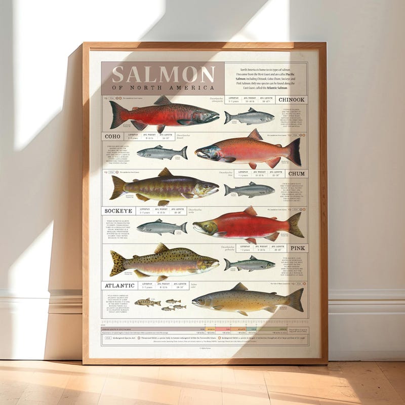 Pacific Northwest Nautical Art - Etsy