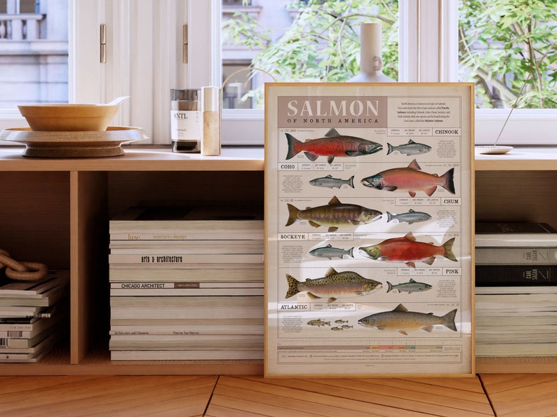 Salmon Fish Print, Fishing Poster Gift for Fisherman, Fish Wall Art ...