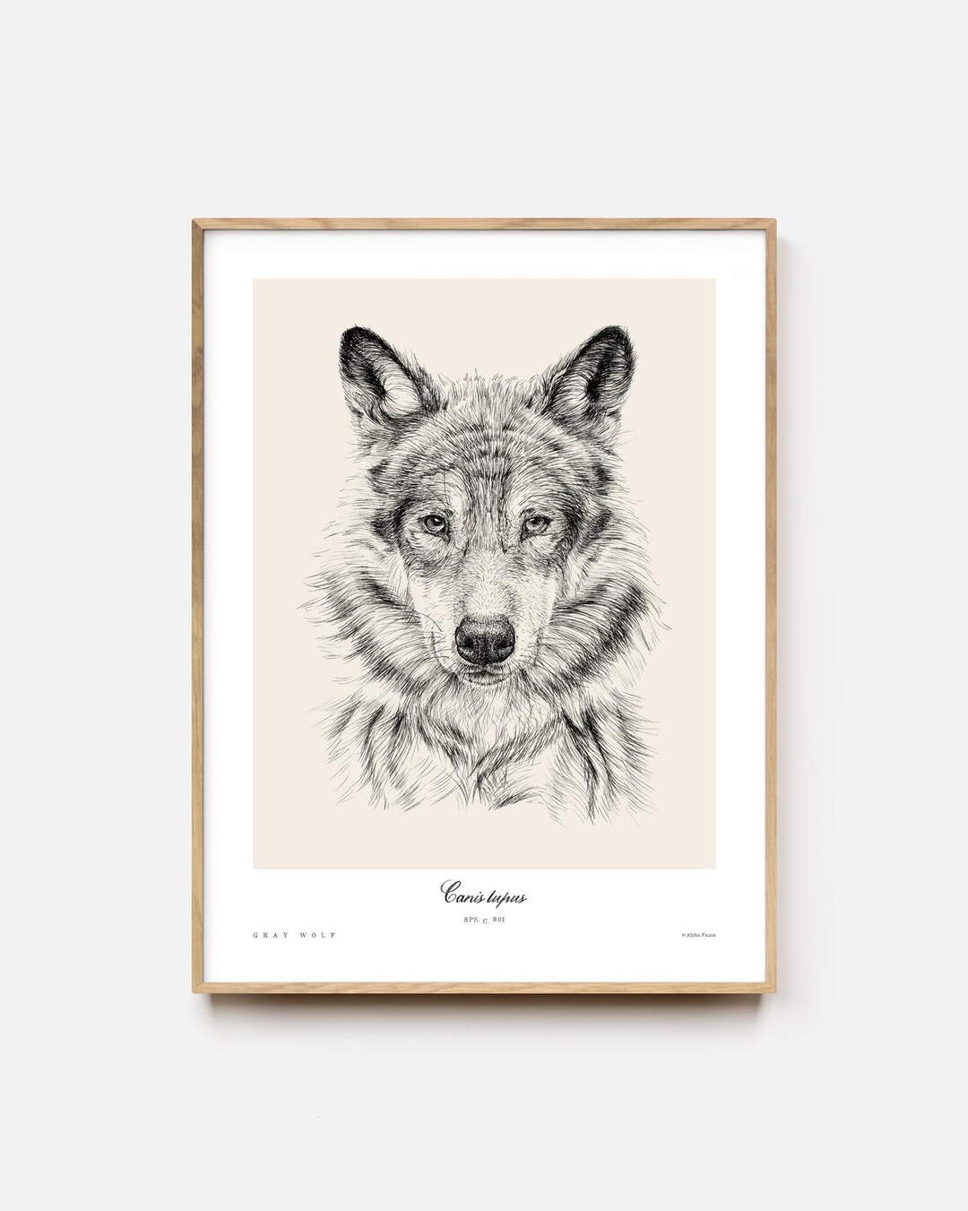Gray Wolf Art Print - Etsy