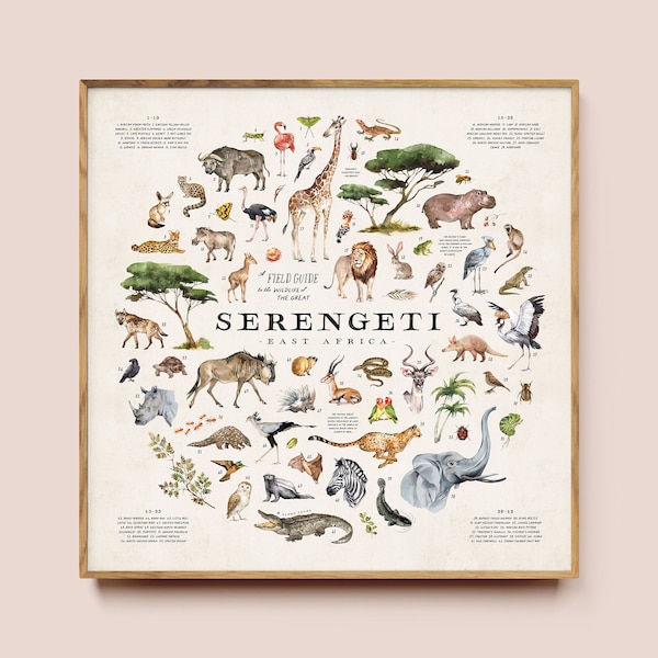 African Animal Posters - Etsy