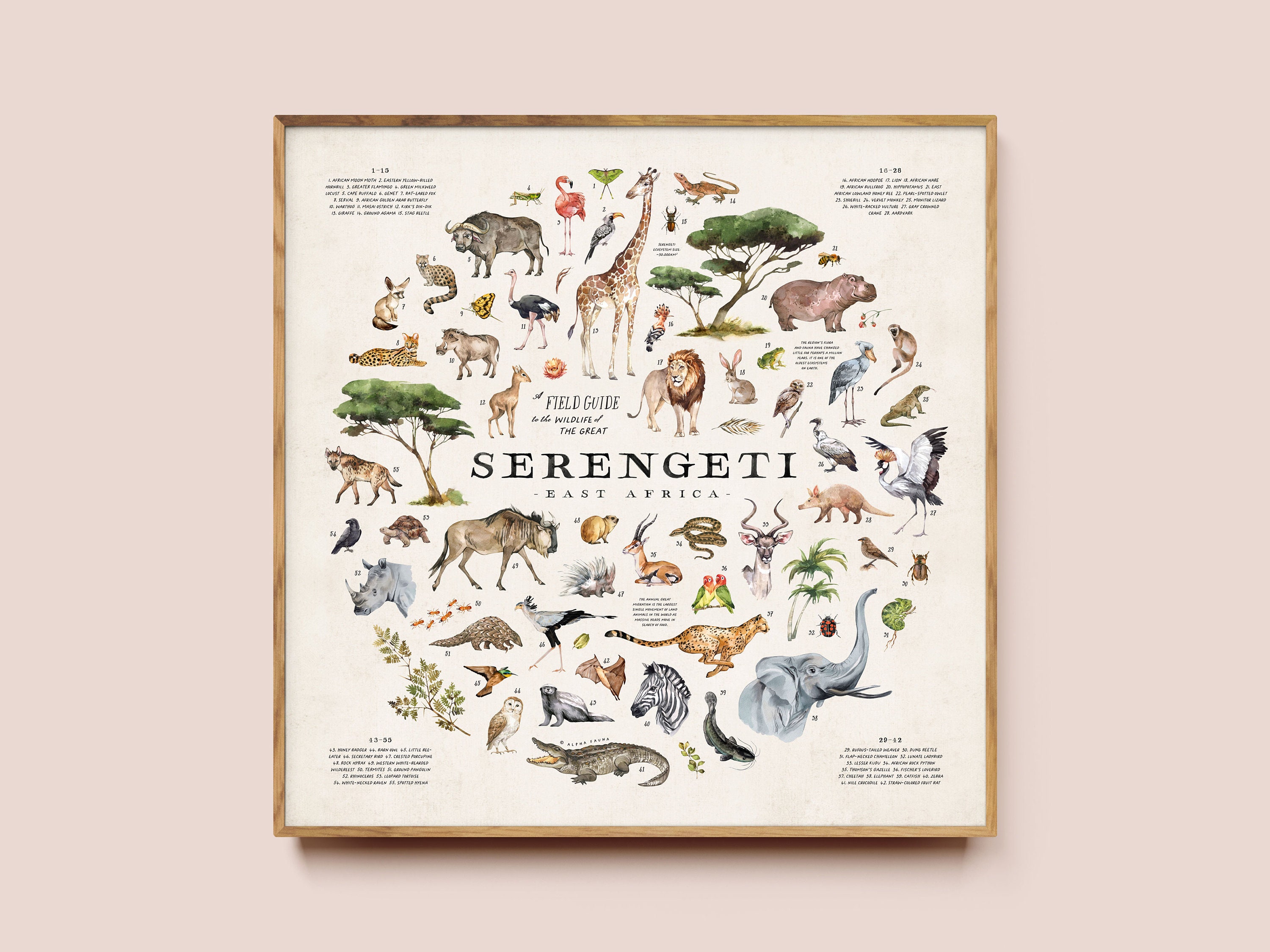 Safari Animals Field Guide Art Print, Wildlife Print of Serengeti ...