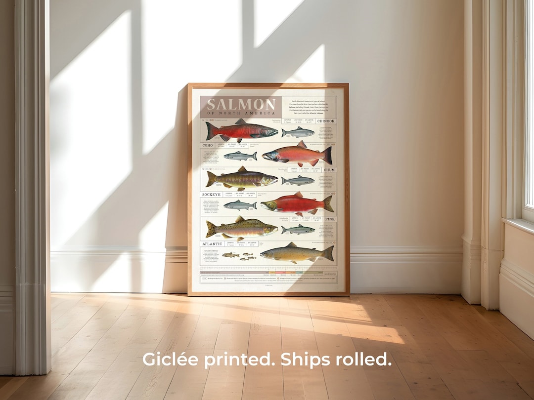 Salmon Fish Print, Fishing Poster Gift for Fisherman, Fish Wall Art ...