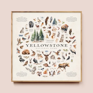Wildlife of Yellowstone Art Print, Wyoming Wildlife Field Guide Print ...