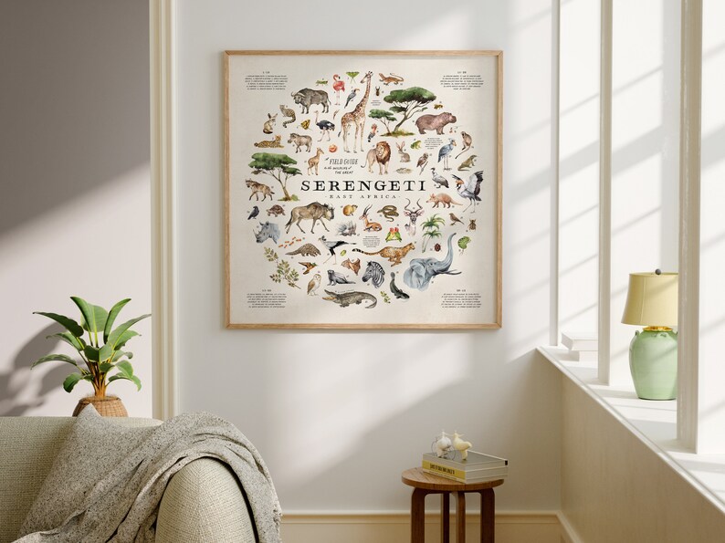Safari Animals Field Guide Art Print, Wildlife Print of Serengeti ...