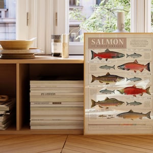 Salmon of North America Art Print / Wildlife Species Educational Poster ...