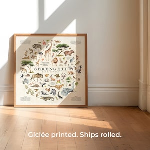 Safari Animals Field Guide Art Print, Wildlife Print of Serengeti ...