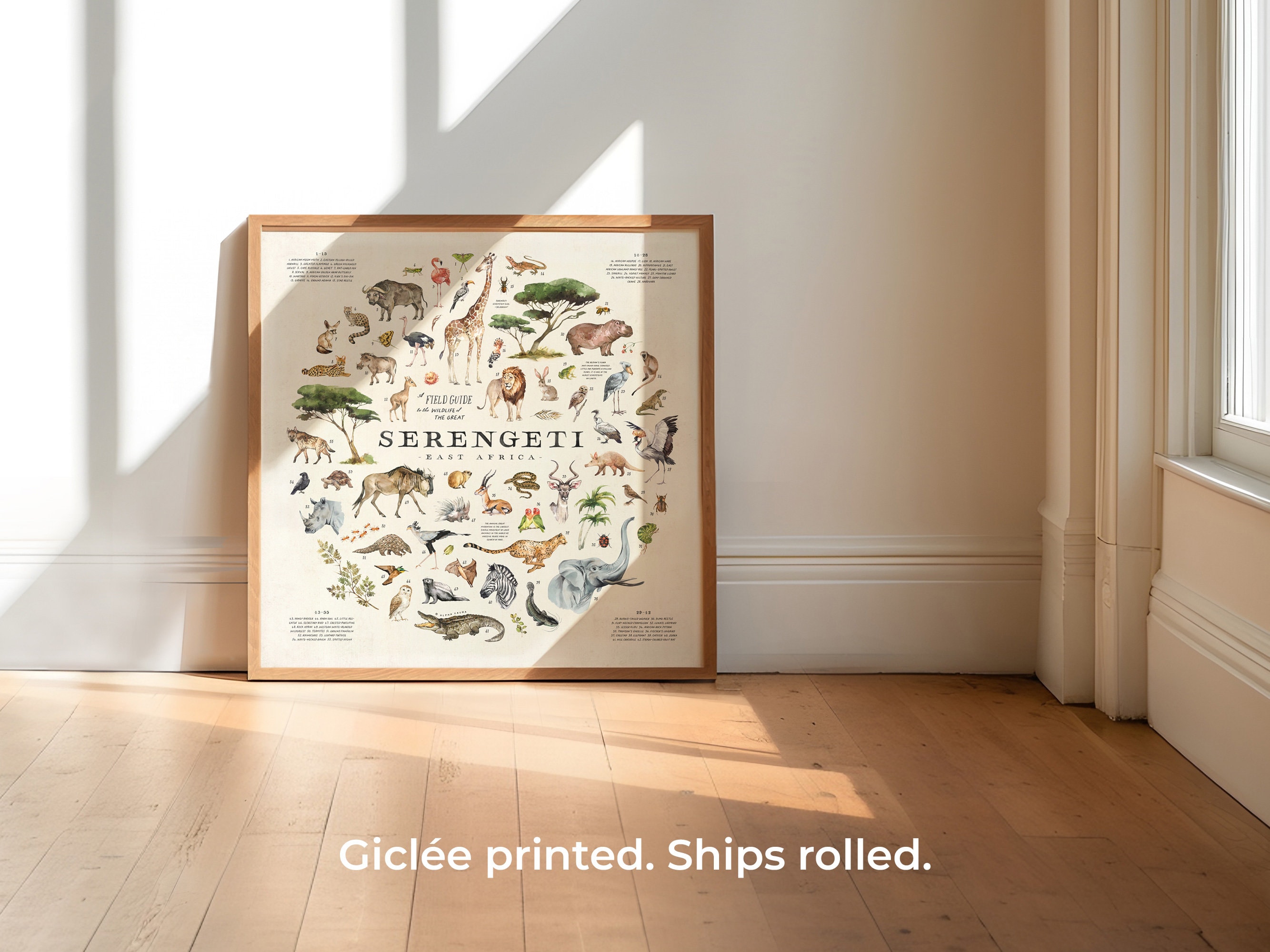 Safari Animals Field Guide Art Print, Wildlife Print of Serengeti ...