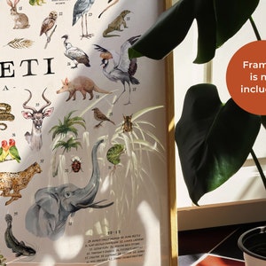 Safari Animals Field Guide Art Print, Wildlife Print of Serengeti ...