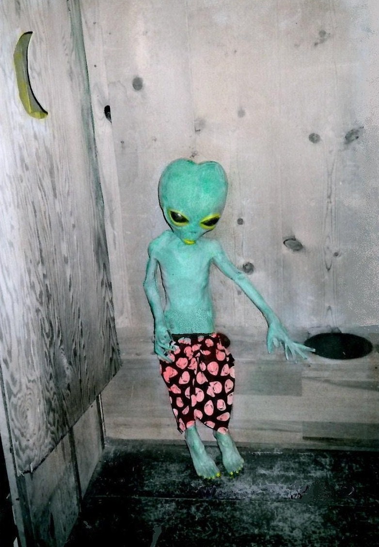 Green Alien in Outhouse, "occupied," Roswell, New Mexico, Bathroom Art ...