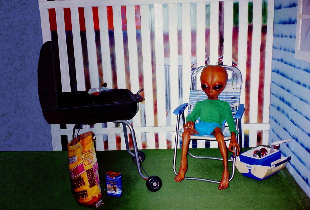 Chillin' N Grillin', Alien in Roswell, New Mexico, Unusual Gift for Dad ...