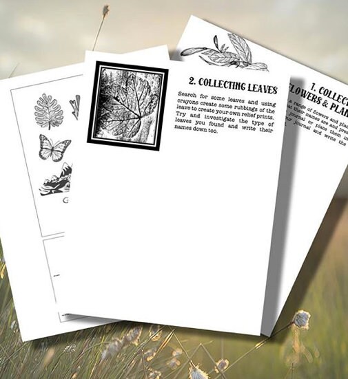 Guided Nature Journal for Kids: Guided Prompted Activities to to Get ...