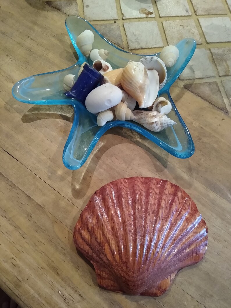 Wood Sea Shell - Etsy