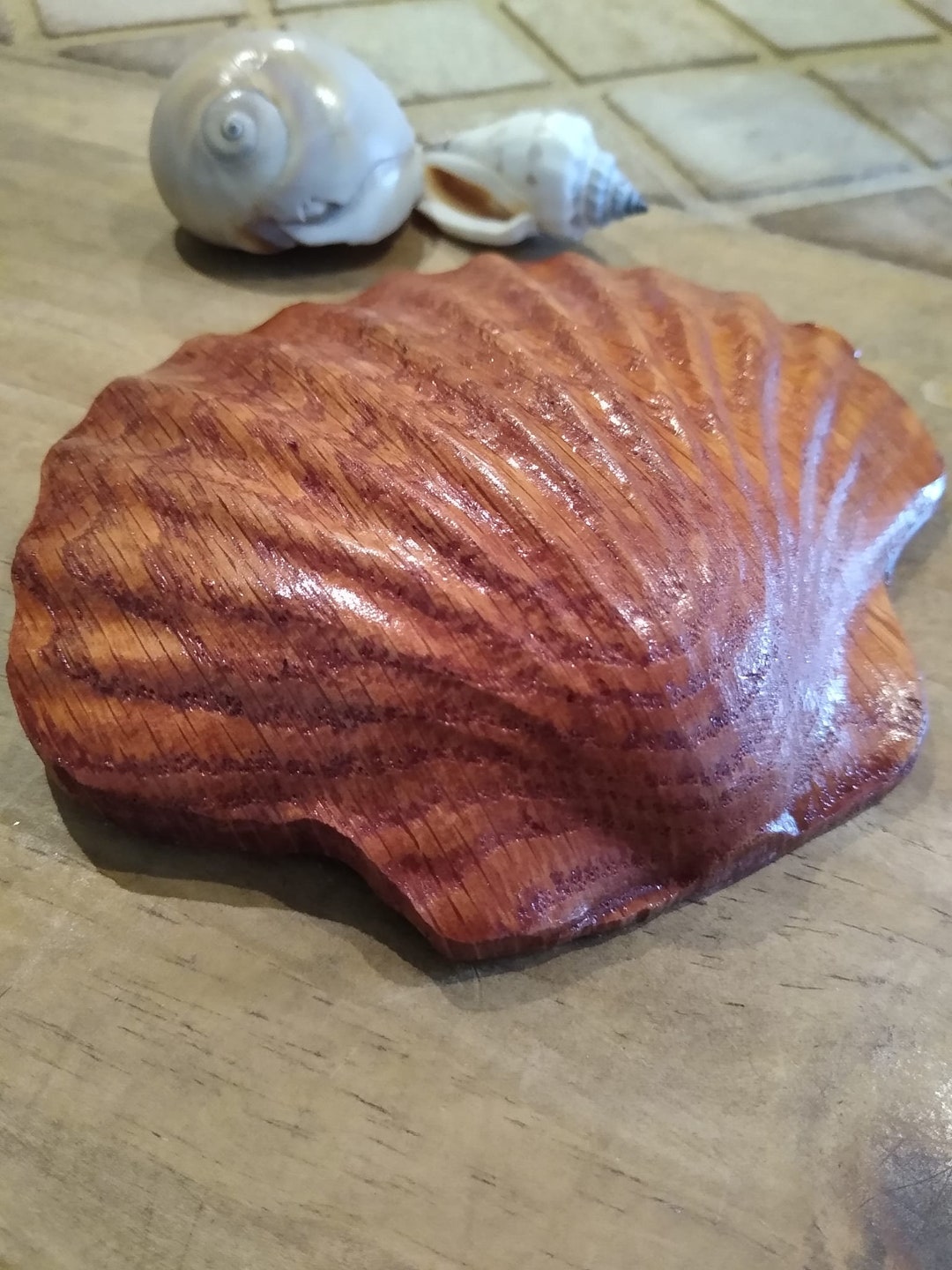 Wood Sea Shell - Etsy