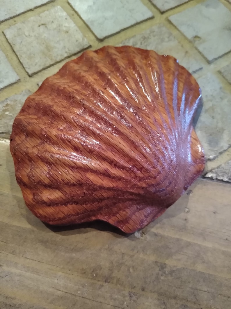 Wood Sea Shell - Etsy