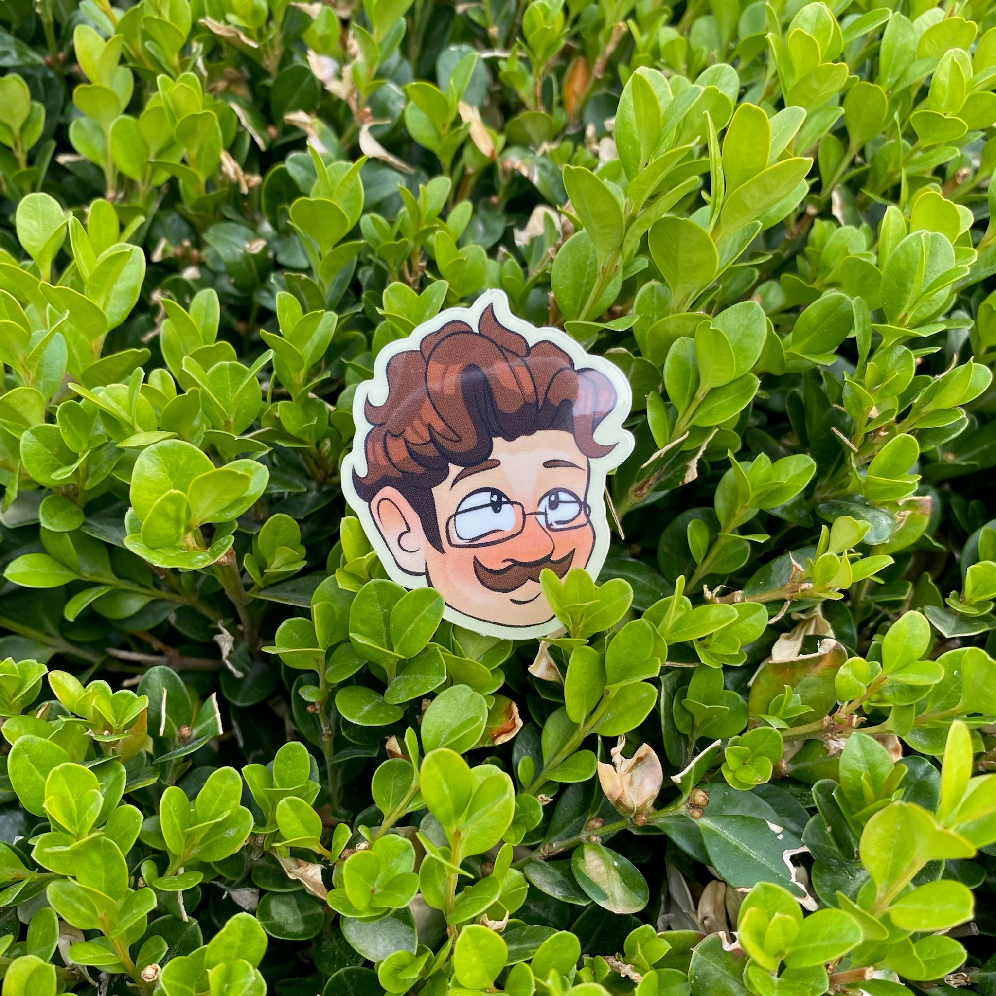 Stardew Valley Harvey Sticker - Etsy